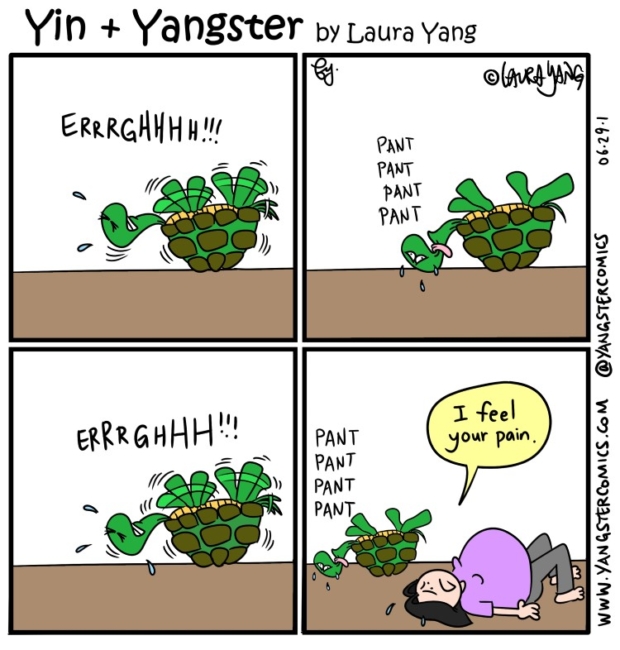 Problem Turtle Memes